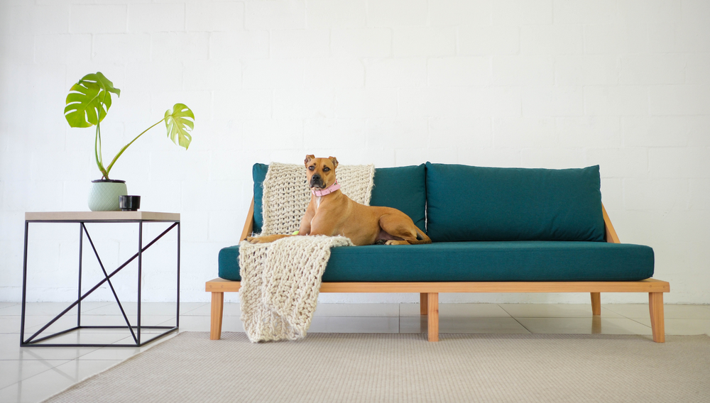 Bahama Patio Couches – Pascal Furniture